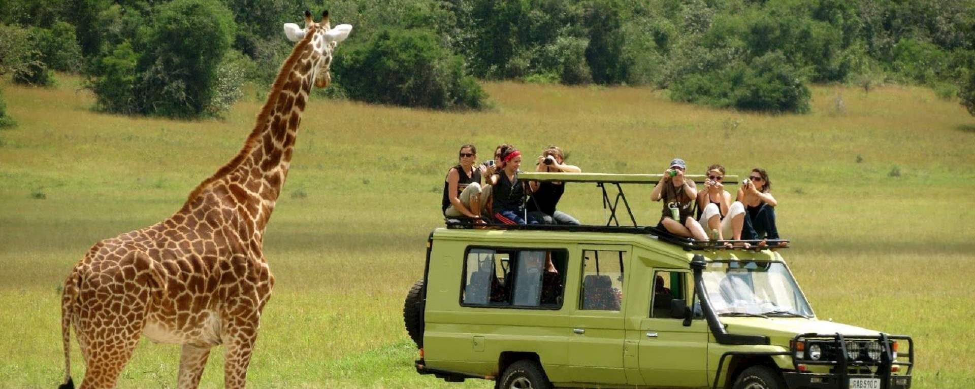 Tubale Safaris – Tubale Safaris