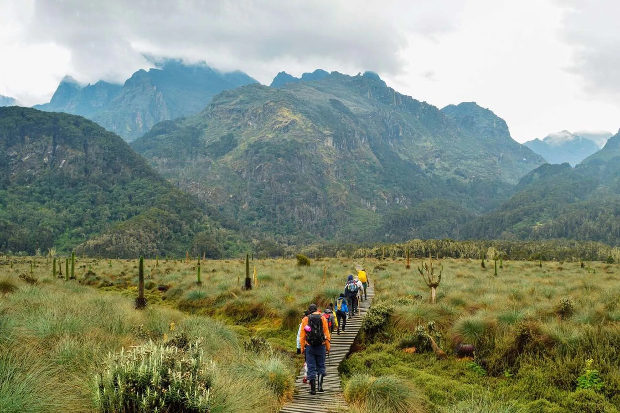 Rwenzori Climbing: 6-Days Mount Rwenzori Hiking Tour Uganda